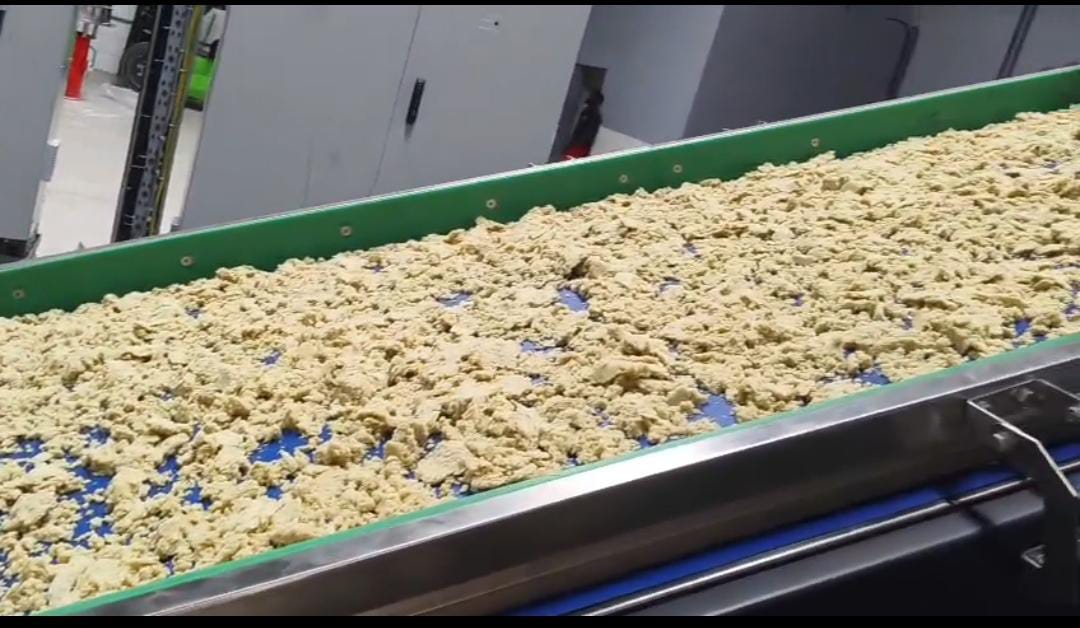 Biscuits Plant Consulting Services